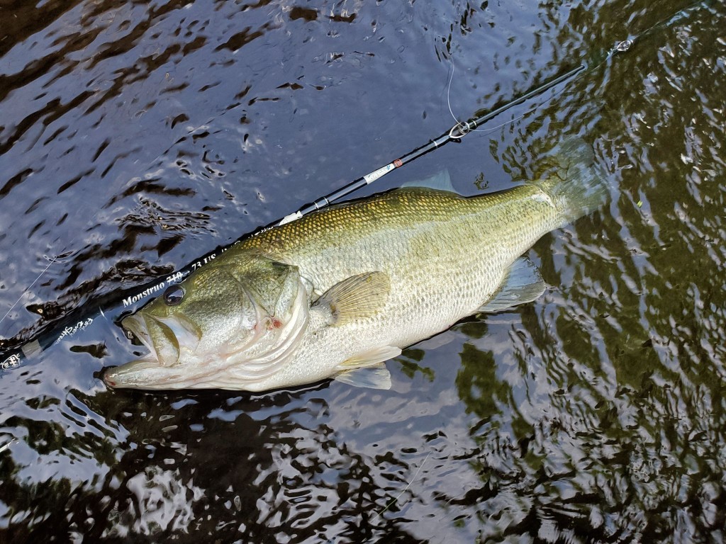スタッフ青山 3分で釣って帰る | 釣り具販売、つり具のブンブン